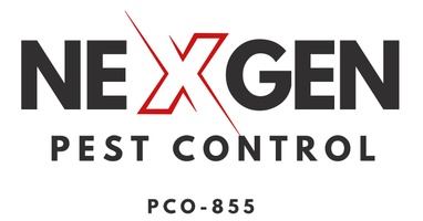 Nexgen Termite & Pest Control Inc. - Pest Control - Kailua, Hawaii